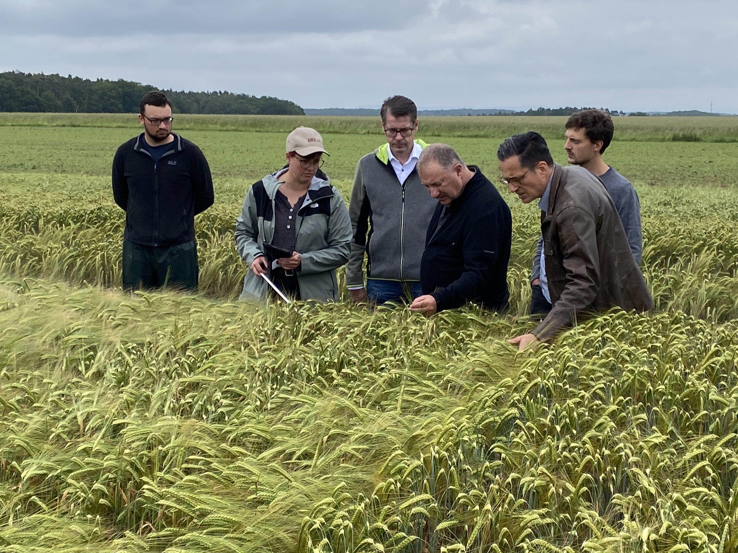 European Cereal Seed Visit